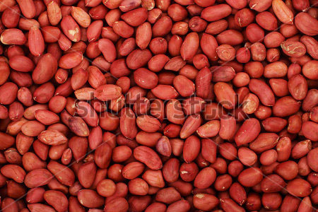 Feed Peanuts - Windmill Feeds